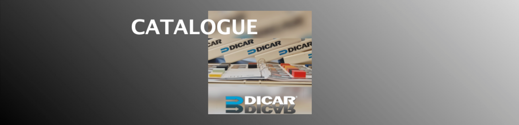 Catalogue new - Dicar